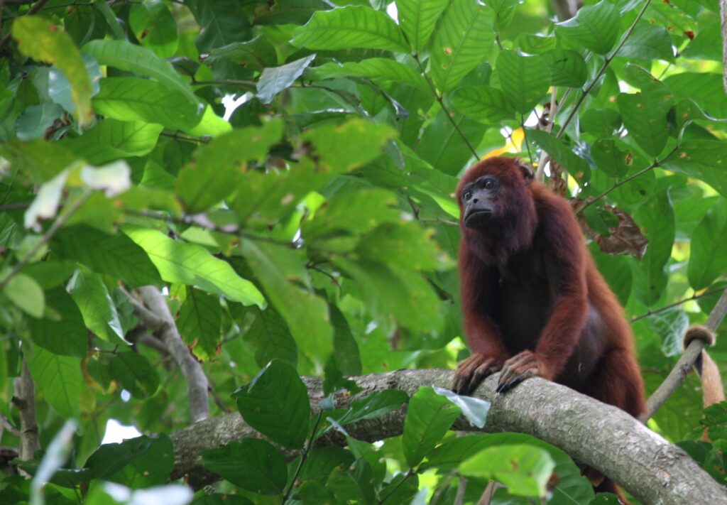 Beauty of Trinidad & Tobago – Home